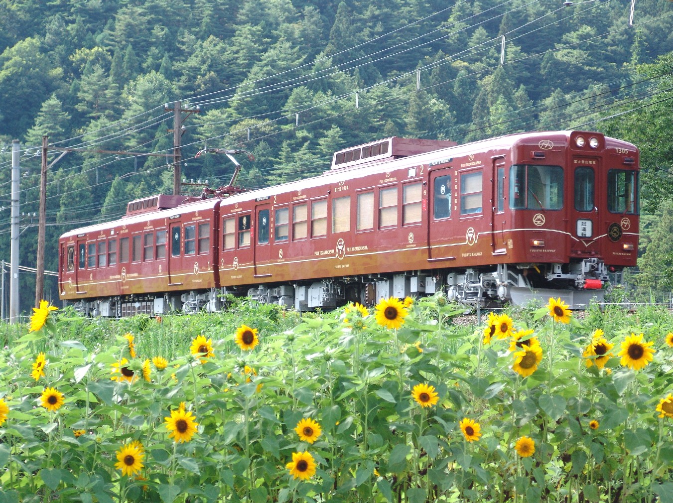 復活！「ふじやまビール号」を運行いたします！！【7月26日（土）】 | 富士山に一番近い鉄道 富士急行線 富士山麓電気鉄道株式会社